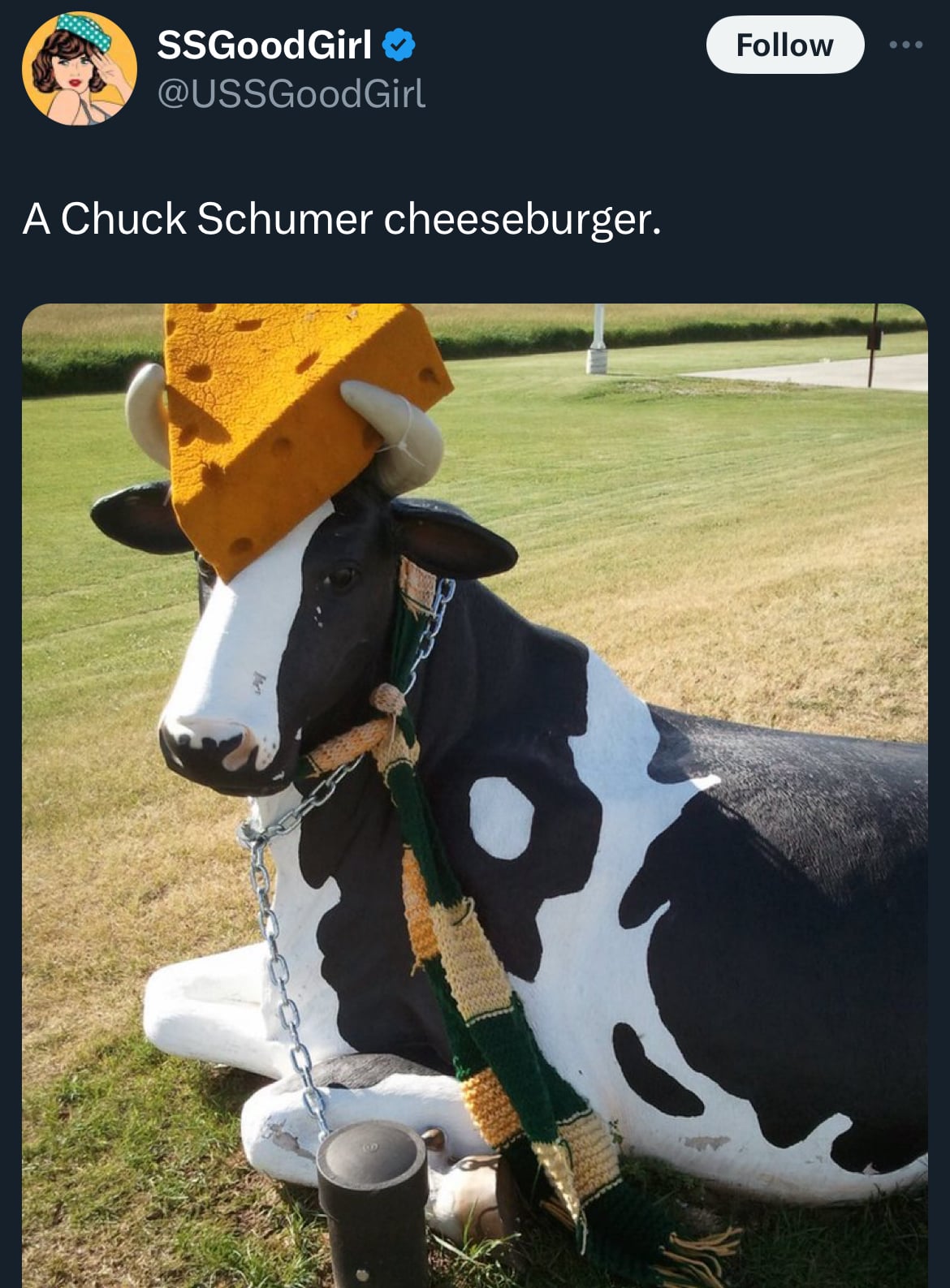 Schumer takes heat for grilling photo in Father’s Day post : r ...